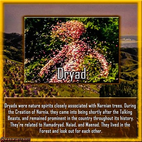 Dryad Narnia