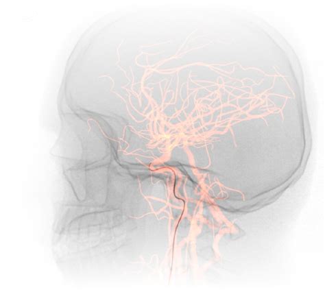 Medical Simulators For Interventional Procedures