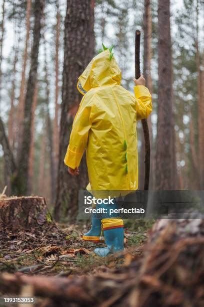 노란 비옷을 입은 아이가 숲에서 걷고 재미 있고 뒷모습이 보입니다 가을에 대한 스톡 사진 및 기타 이미지 가을 가을 단풍 걷기 Istock