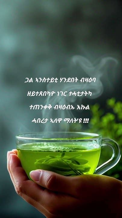 eritrea habesha eritreanmusic eritrean eritreanews eritreancomedy eritreanfilm