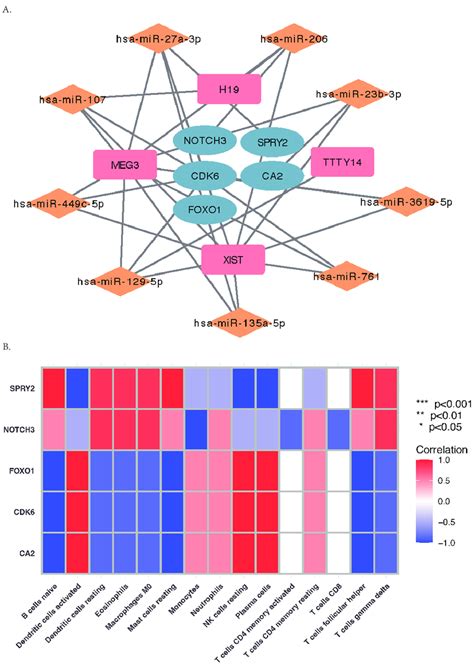 The Cerna Network And Gene Set Enrichment Analysis Gsea Of The Hub