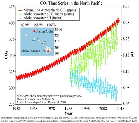 55 Dissolved Gases Carbon Dioxide Ph And Ocean Acidification
