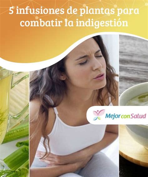 5 infusiones de plantas para combatir la indigestión Healthy living