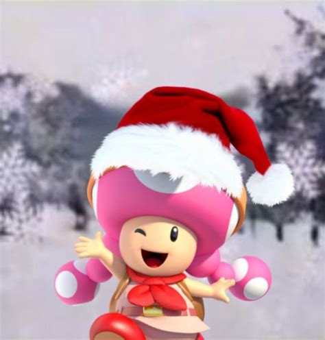 Pin By Michele Godbey On Toadette Cute Anime Pics Super Mario Bros Mario