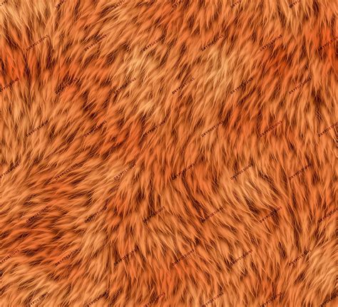 Animal Fur Textures