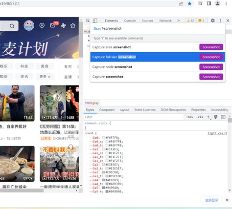 浏览器网页截屏实用小技巧 node screenshot csdn博客