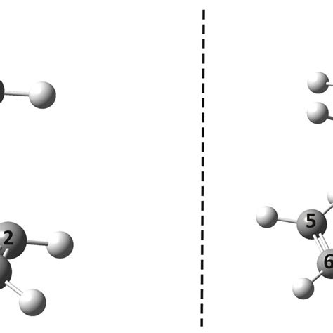 The Cyclobutane Benzene Dimer Geometry With Syn A And Anti B Download Scientific Diagram
