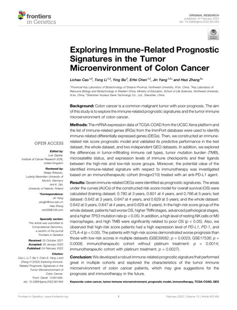 Pdf Exploring Immune Related Prognostic Signatures In The Tumor