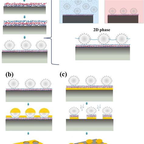 Absorbance Spectra Of A 80 Nm Gold Nanodisk B 80 Nm Gold Nanoholes