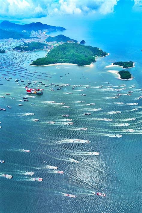 南海开渔，广东各地千帆竞发喜争“鲜”。 图视觉中国