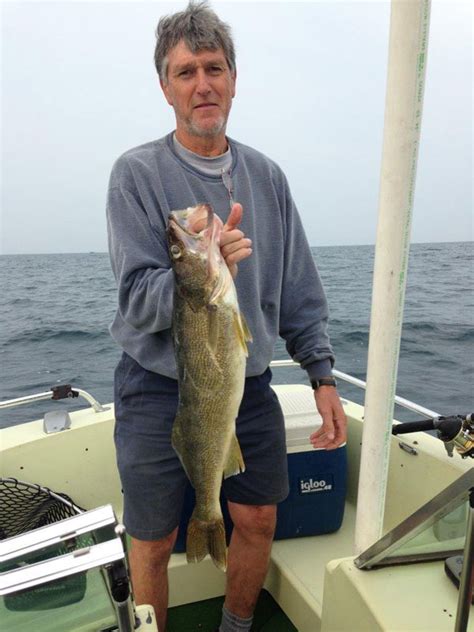 Lake Erie On Walleye Fishing Update Canadian Sportfishing