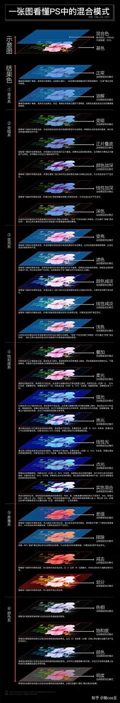 花瓣灵感详情页 花瓣网