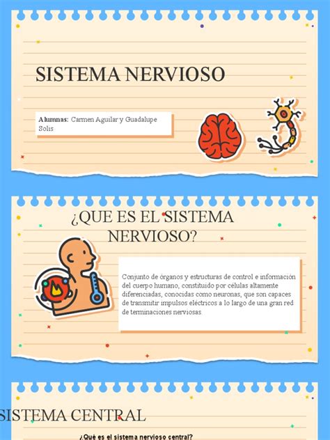 Introducción Al Sistema Nervioso Pdf Sistema Nervioso Sistema