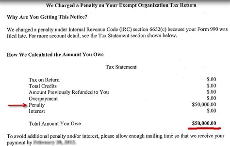How To Remove An Irs Form 990 Late Filing Penalty Write An Effective