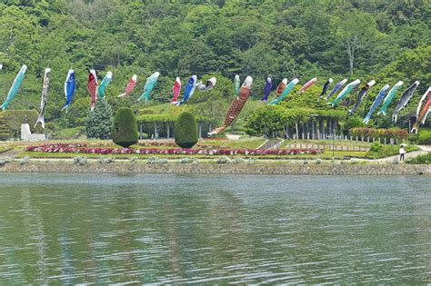 兵庫フラワ－センタ－ Ⅰ 兵庫県 Ty4834 四季の写真Ⅱ