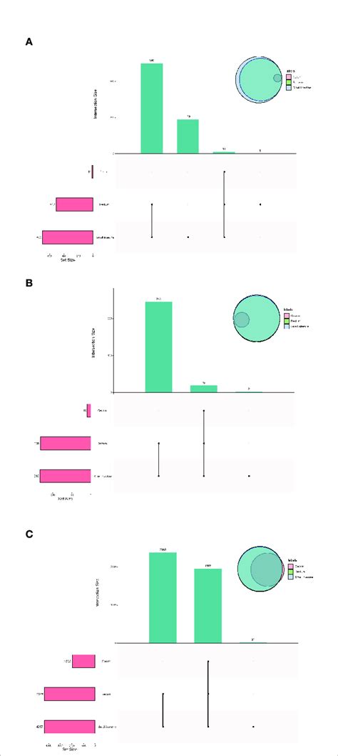 Upset Plot And Venn Plot Of Fetal Gut Microbiota Detected By Virome