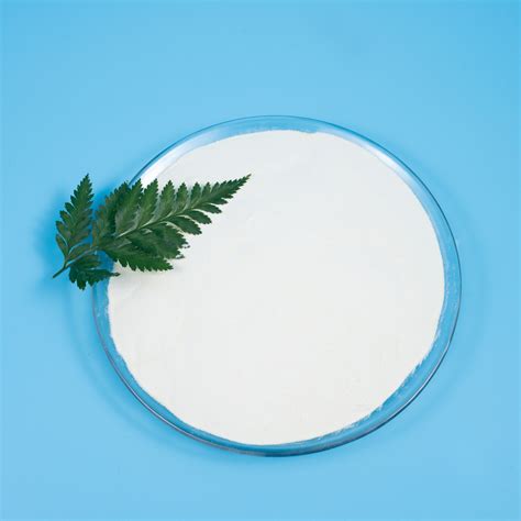 Freeze Dried Lactobacillus Reuteri Inhibit Helicobacter Pylori Probiotic Powder Prebiotic And