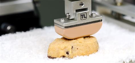 触覚接触子：舌モデル