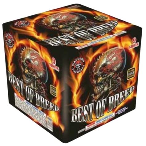 Noab Cakes Buy Fireworks Repeaters Online At Elite Fireworks