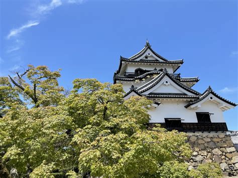 国宝 彦根城 エクシブ会員権 仲介売買のALIVE