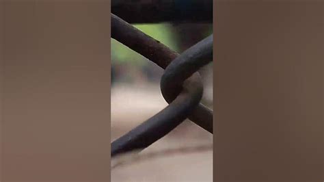 আসসালামু আলাইকুম ওয়া রাহমাতুল্লাহসালাম প্রচলন করেন ভাই Youtube