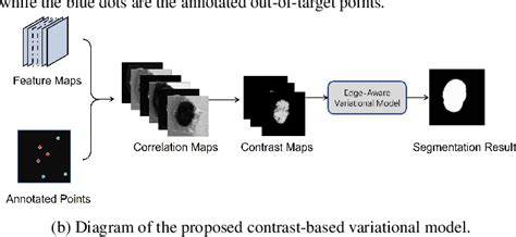 weakly supervised segmentation with point annotations for