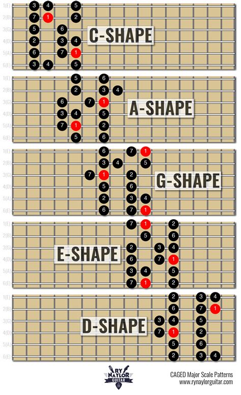 The Major Scale On Guitar Guitar Scales Charts Guitar Chords And Scales Learn Guitar Chords
