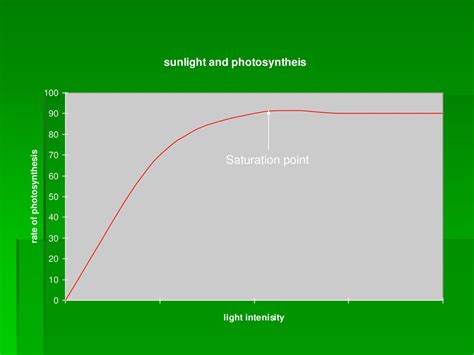 8 3 The Reactions Of Photosynthesis Ppt Download