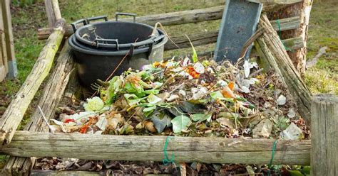 Compost Pile Vs Tumbler Which One Is Better Backyard Eden