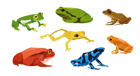 Conjunto De Ranas En Estilo De Dibujos Animados Ilustración Vectorial