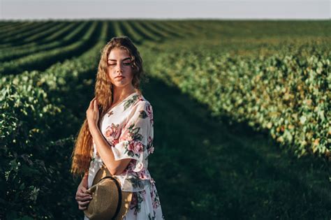 긴 곱슬 머리와 주근깨 얼굴과 아름다운 여자 건포도 필드 배경에 얼굴 여름 화창한 날에 가벼운 드레스를 입은 소녀가 걷는다 건강한 생활방식에 대한 스톡 사진 및 기타 이미지