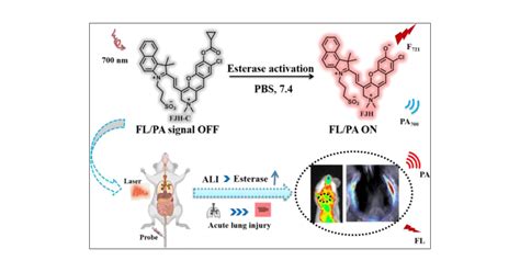 De Novo Design Of Activatable Photoacoustic Fluorescent Probes For