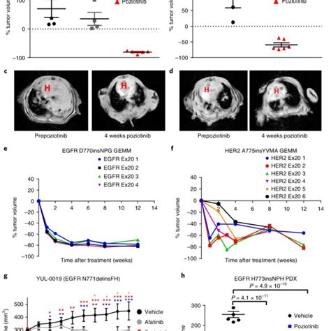 Poziotinib Potently Inhibits Egfr And Her2 Exon 20 Insertion Mutants