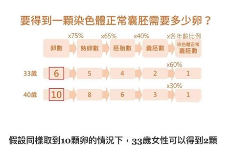 試管嬰兒療程 胚胎合成 🙌胚胎合成🙌 大概是最沒有我的事的一段😂如果你這麼以為就錯了，最折磨人心的是這段🥲 胚胎合成結果～最殘酷無情，從21顆