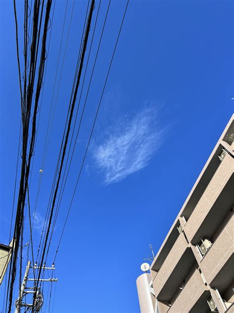 成澤ひなみ♡ On Twitter お医者さんから処方されたアレルギーの薬はめちゃくちゃ効くんだけど、やっぱり眠くなるなぁ 春だからかなぁ