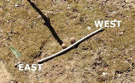 How To Navigate Without A Compass 101 Ways To Survive