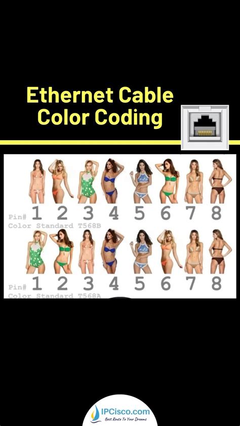 Ipcisco Choose Your Color Wisely😂😂 Just For Fun Cabling Overview