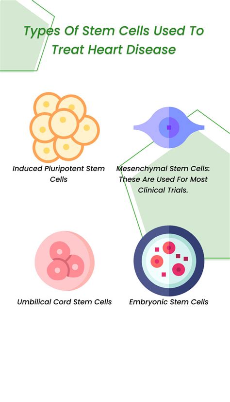 Stem Cell Therapy For Heart Disease 2023 All You Need To Know