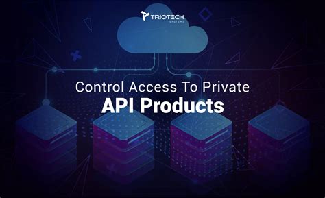 How To Control Access To Private API Products Triotech Systems