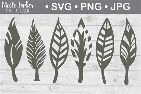 Hand Drawn Feather Svg Cut File Graphic By Nicole Forbes Designs