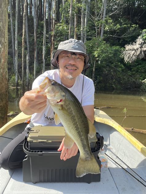 千葉県 片倉ダムのバス釣りレンタルボート店「レンタルボートすずき」から投稿された釣果情報｜reserverリザーバー）