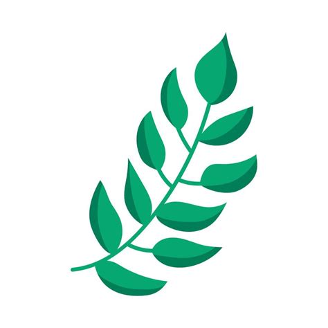 Leaf Plant Foliage Vector Art At Vecteezy
