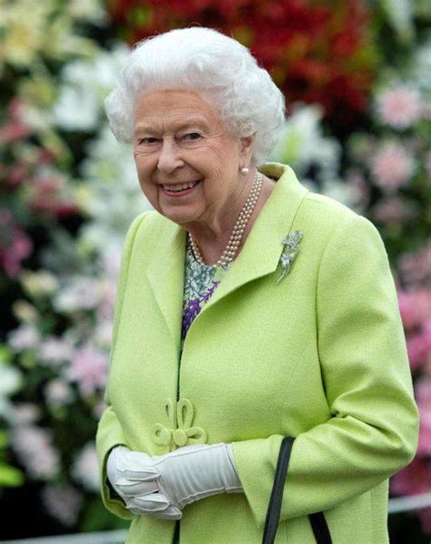 外卖小哥给英国女王送披萨被拦 安保：是有人整你凤凰网