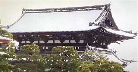 仁和寺にある法師 公式マイペース マイリズム