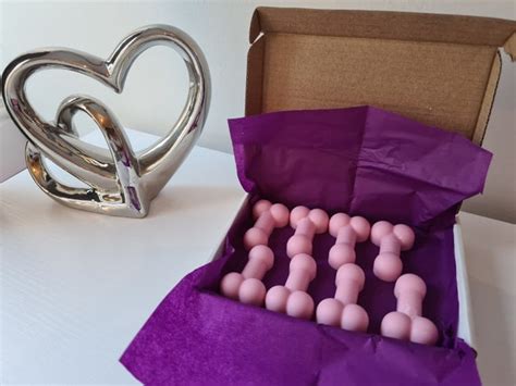 Willy Wax Melts X8 Handmade Soy Hen Party T Idea Etsy