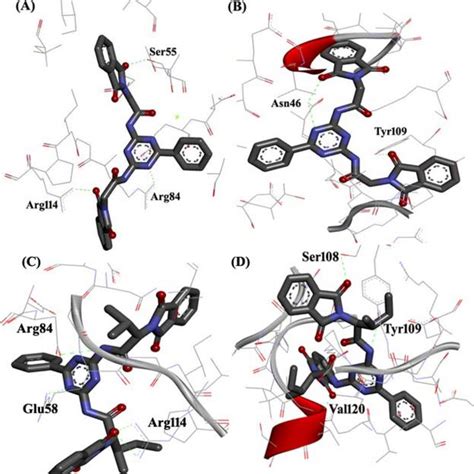 The Binding Mode Of Compounds 6a In The Active Site Of As Aureus Dna