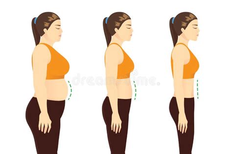 Belly Stock Illustrations 48712 Belly Stock Illustrations Vectors