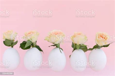 부시 베이지 색 노란색 밝은 분홍색 배경에 공기에 비행 부활절 흰색 달걀 껍질에 오렌지 장미 계란은 가톨릭 신자 기독교인과