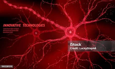 Mänskliga Neuron Låg Poly Anatomi Koncept Artificiella Neurala Nätverk