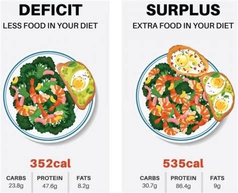 Blog 1 Calorie Deficit Vs Surplus — Sculpting Bodies